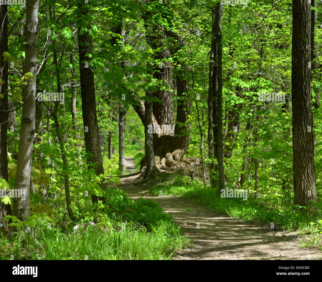 Cool and warm contrast hi-res stock photography and images - Alamy