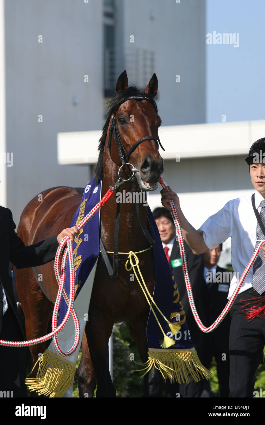 Arion horse hi-res stock photography and images - Alamy