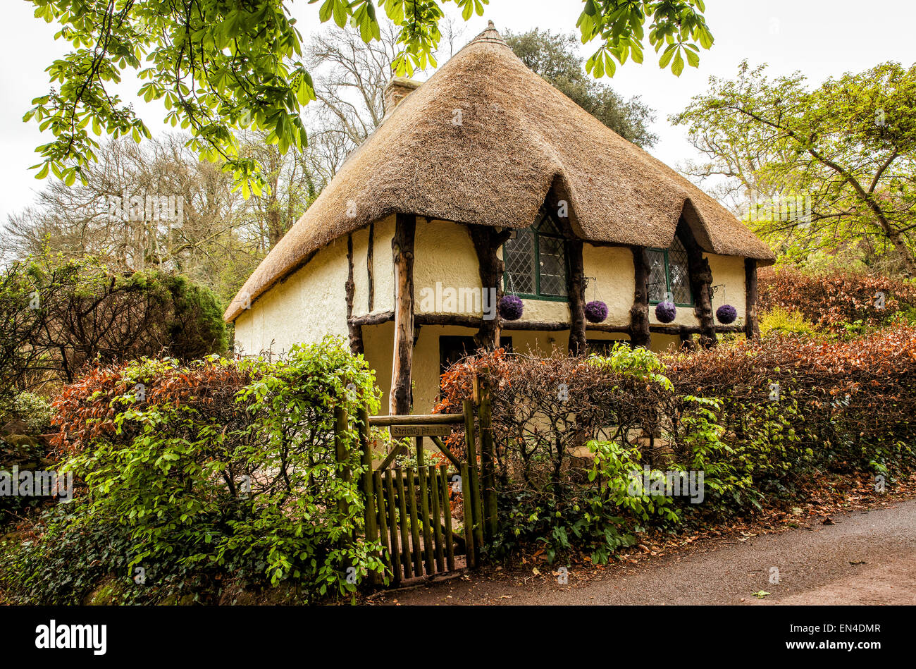 Delightful thatched cottage in Devon Stock Photo - Alamy