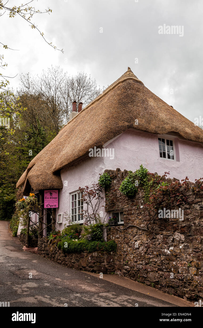 Stunning thatched cottage in Devon used as a cafe selling clotted cream ...