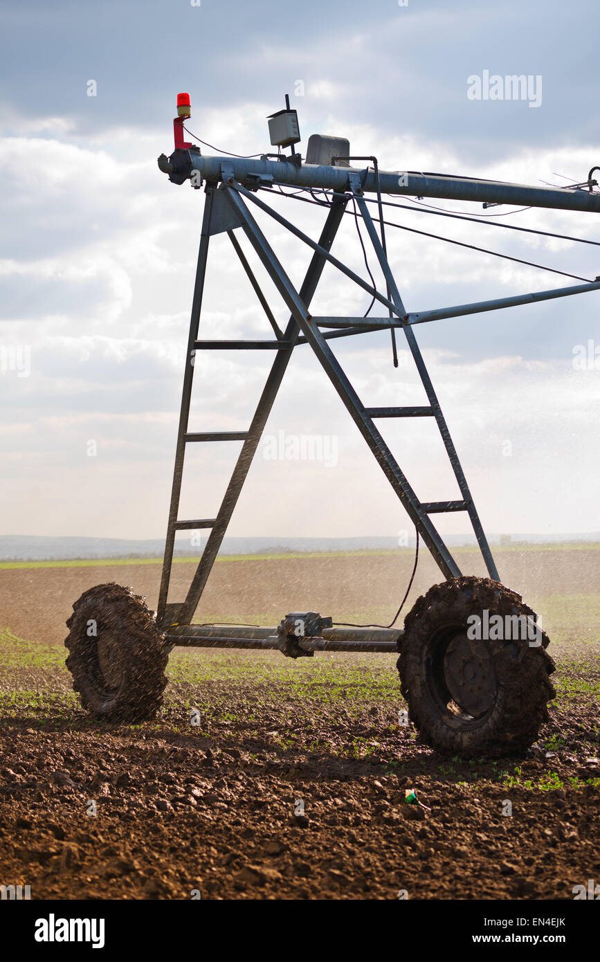 Sprinklers Stock Photos & Sprinklers Stock Images - Alamy