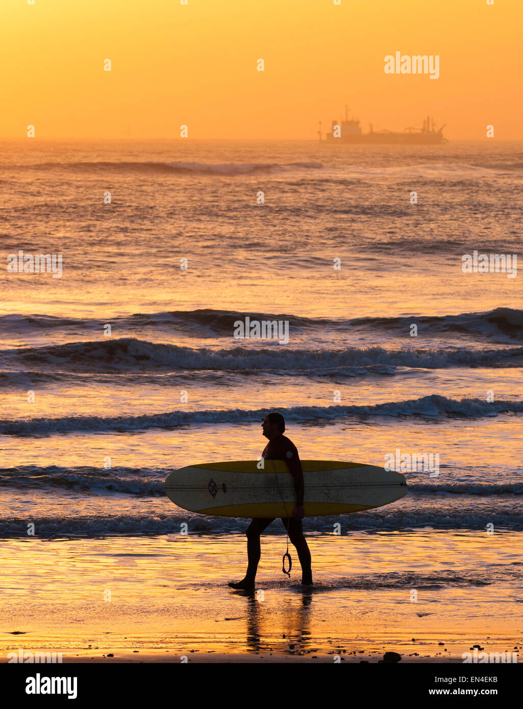 Surfboarder walking on foreshore at sunset at West Wittering . West ...