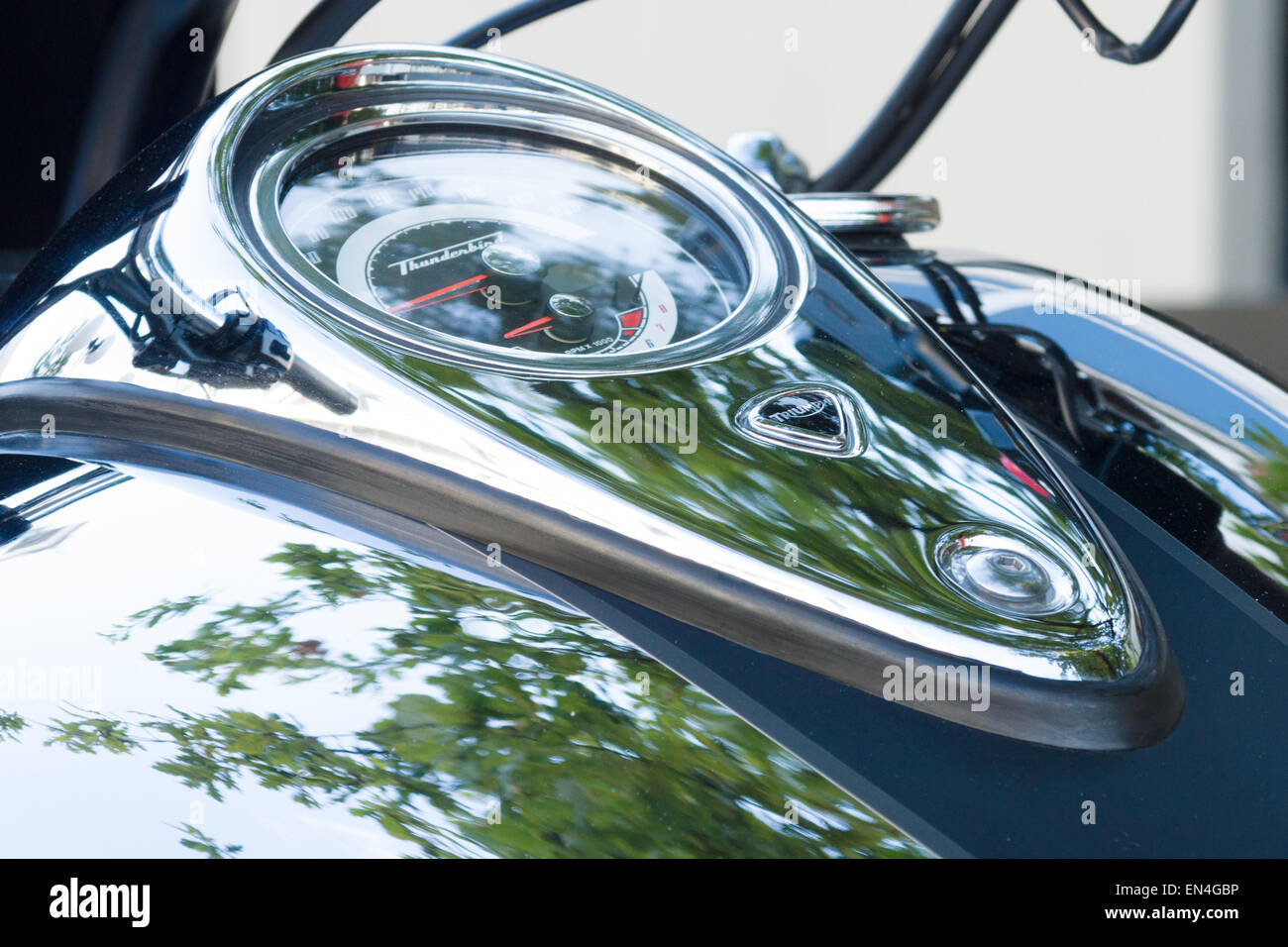 The fuel tank of the modern Triumph motorcycle Stock Photo - Alamy