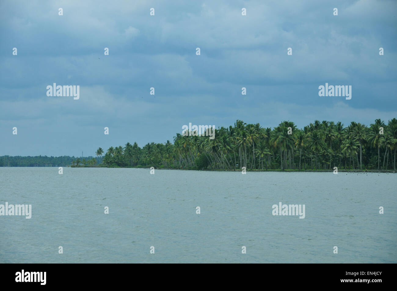 Beautiful lake shore trees hi-res stock photography and images - Alamy