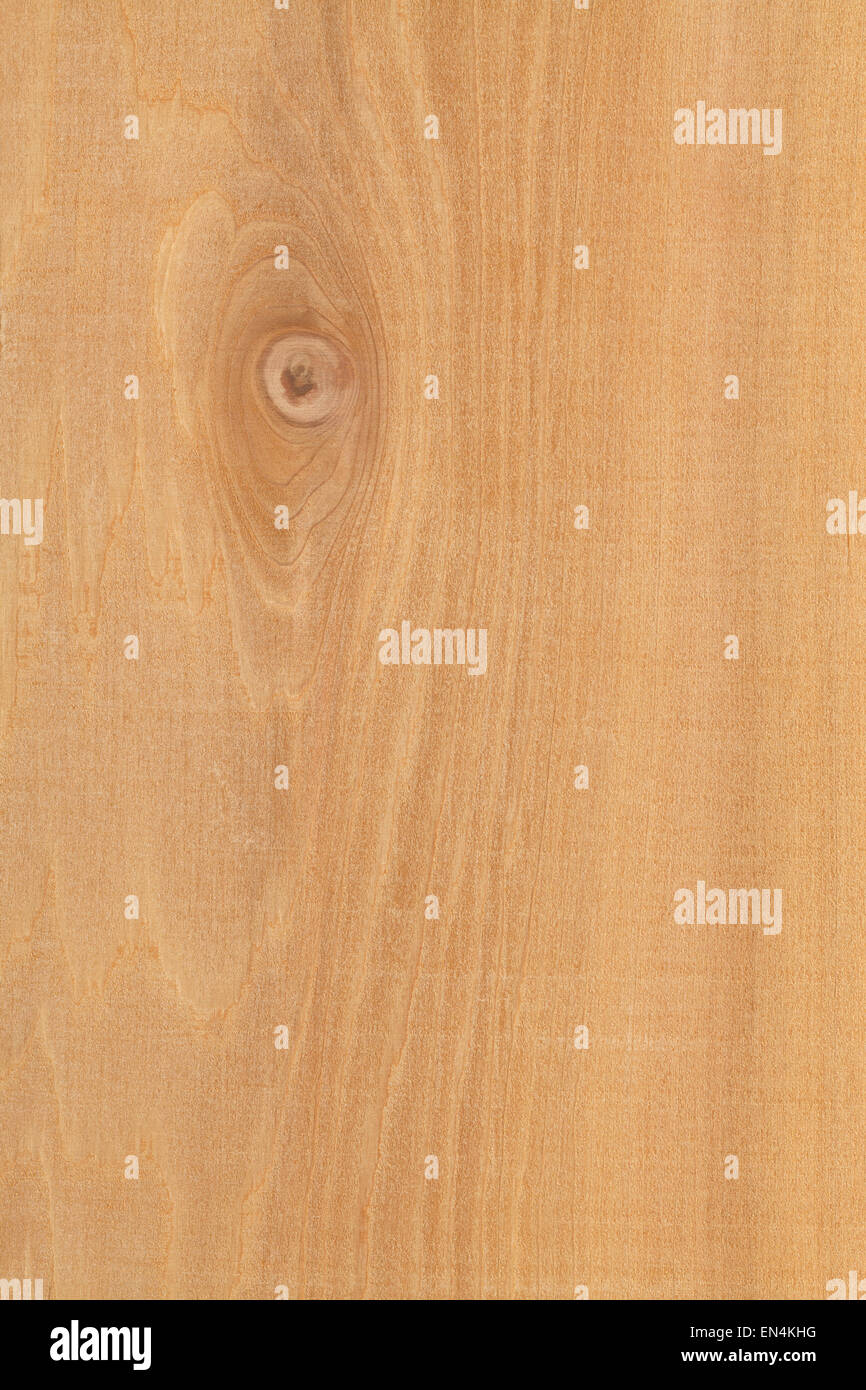 Dark brown full grain hi-res stock photography and images - Alamy