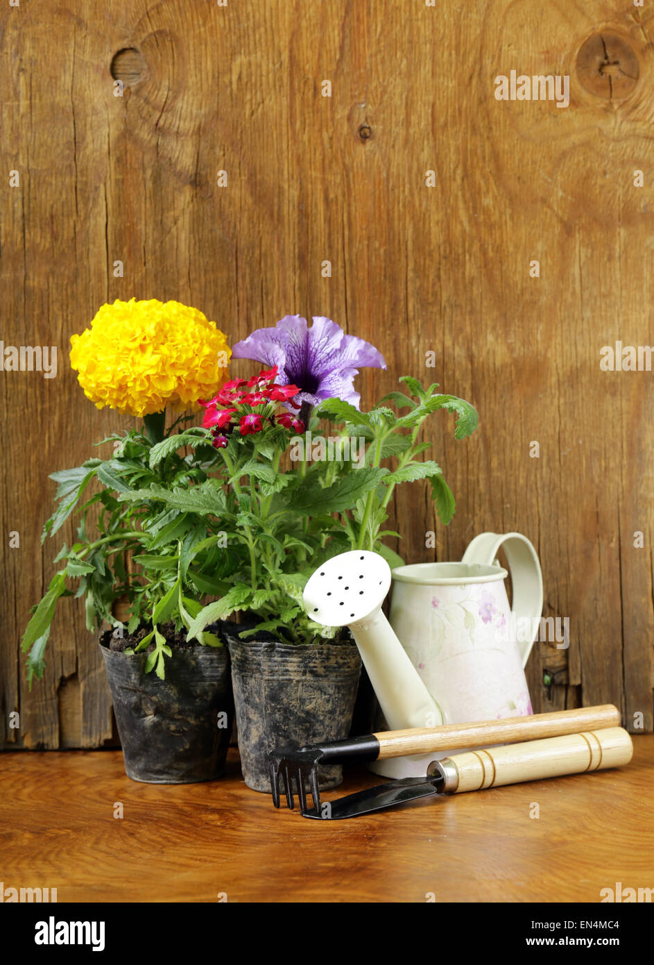 Rake shovel hi-res stock photography and images - Alamy
