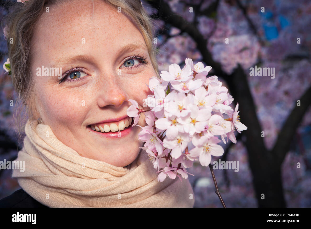 A young, cute, girl under blossoming cherry trees at Järntorget in ...