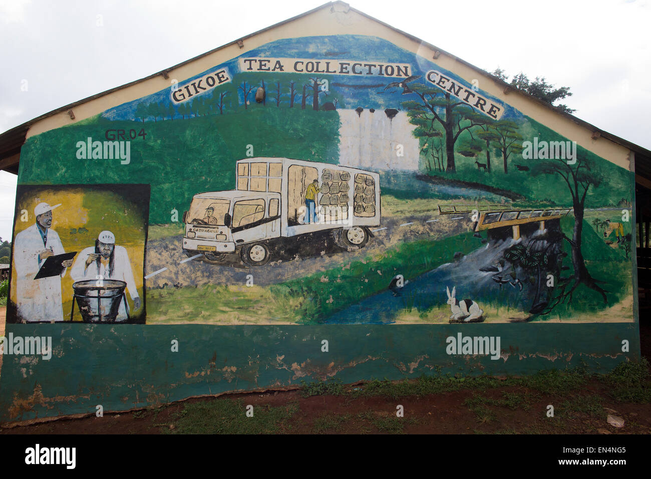 tea production in Kenya Stock Photo - Alamy