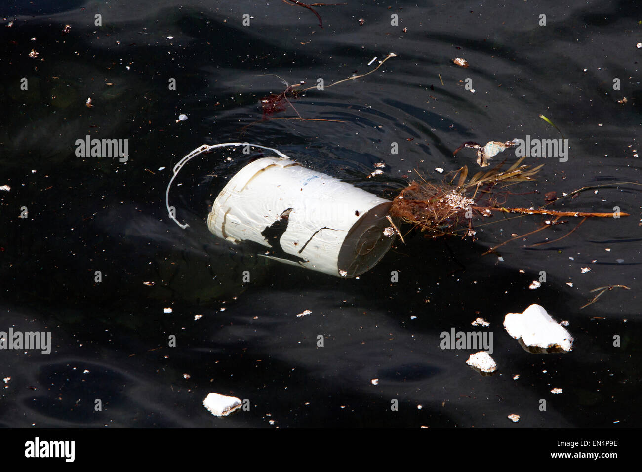plastic pollution at the Italian coast near Naples Stock Photo - Alamy