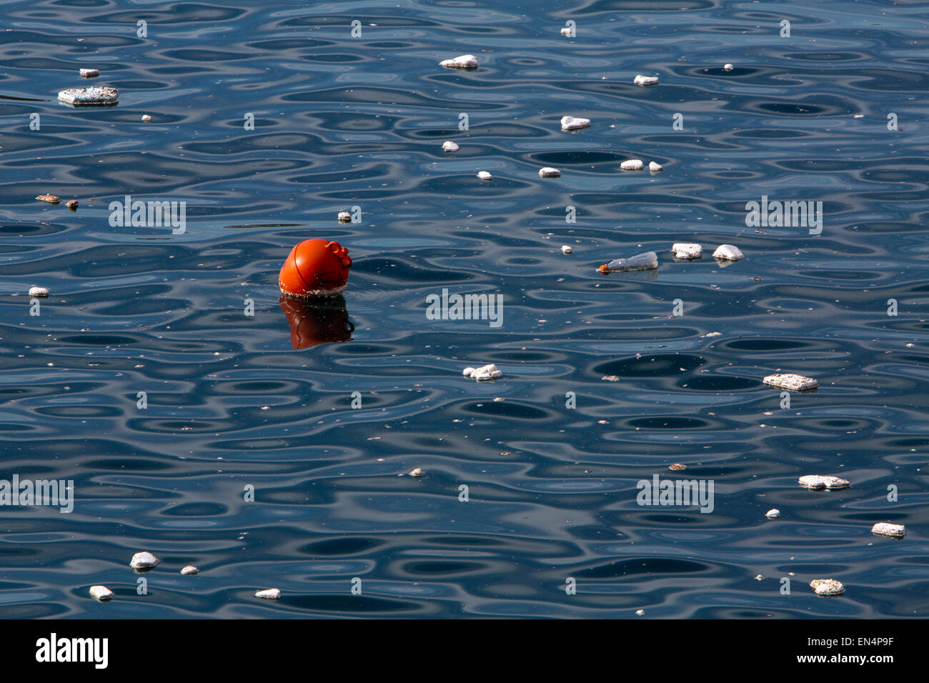 plastic pollution at the Italian coast near Naples Stock Photo - Alamy