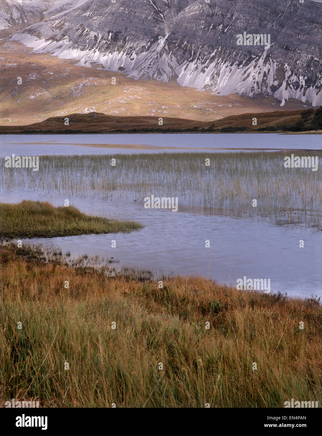 The scree slopes of Arkle viewed across Loch Stack, Sutherland ...