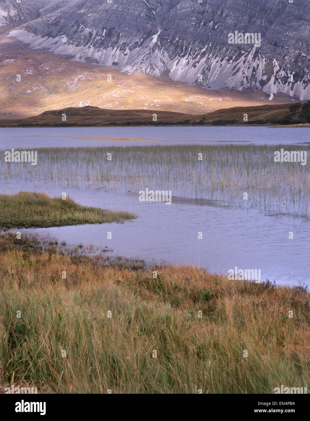 The scree slopes of Arkle viewed across Loch Stack, Sutherland ...