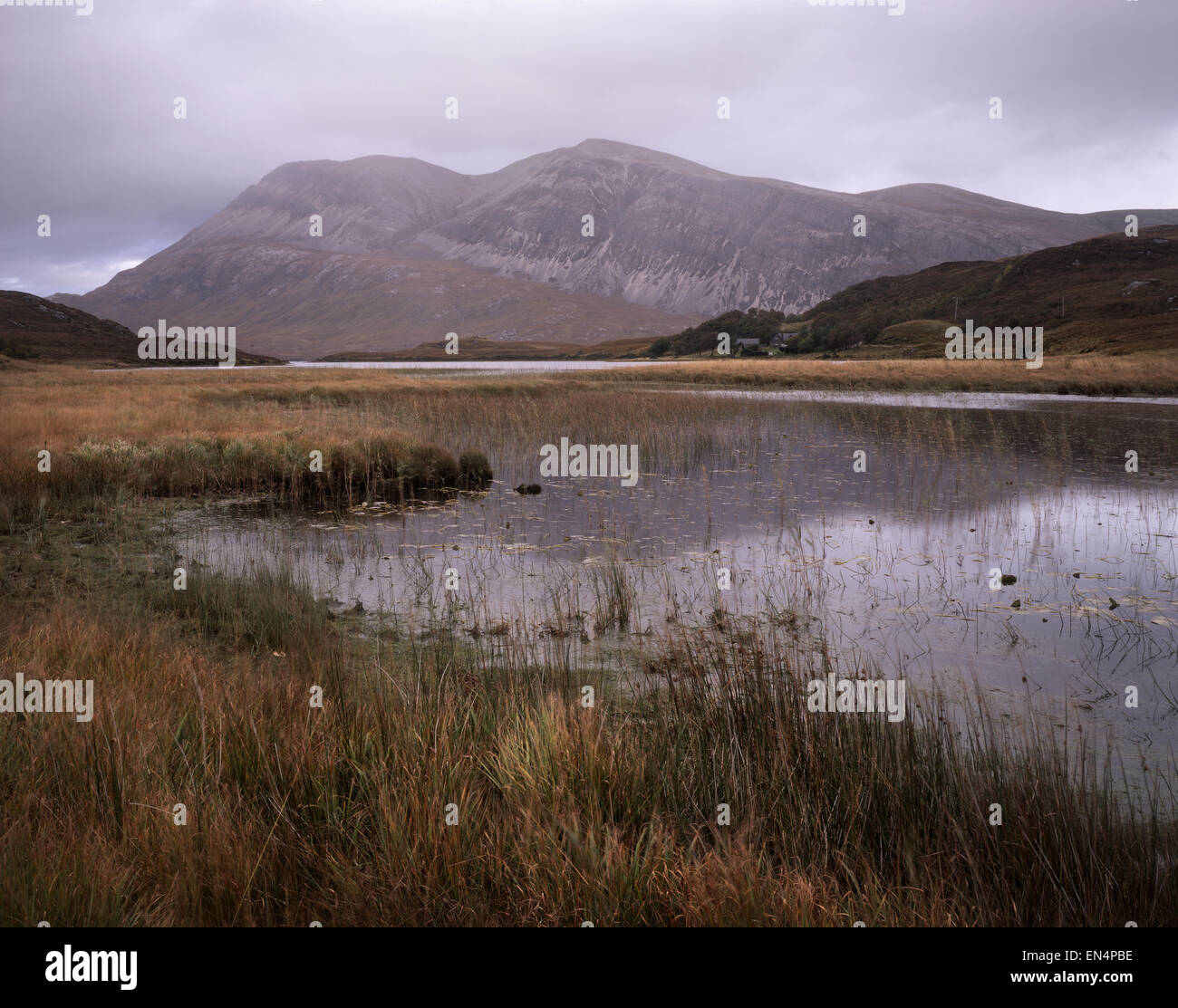 Arkle viewed from the shores of Loch Stack, Sutherland, Scotland, UK ...
