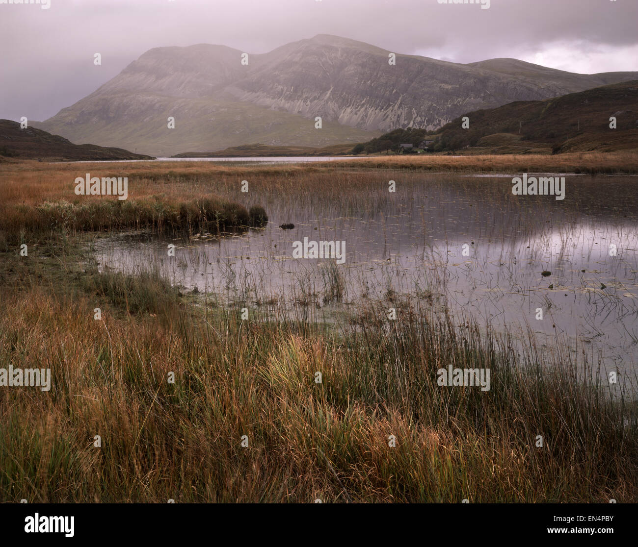 Arkle viewed from the shores of Loch Stack, Sutherland, Scotland, UK ...