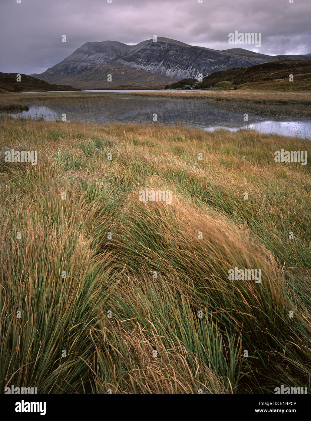 Arkle viewed from the shores of Loch Stack, Sutherland, Scotland, UK ...