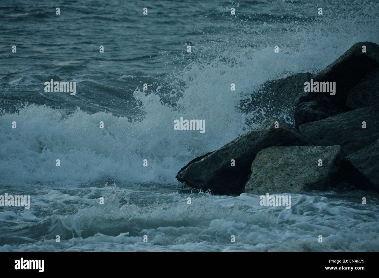 Scattering Stock Photos & Scattering Stock Images - Alamy