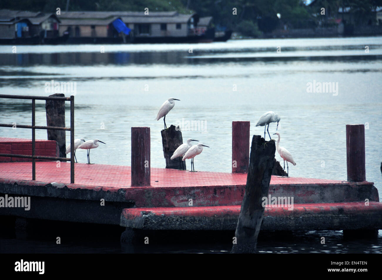 Beautiful view of a boat jetty Stock Photo - Alamy