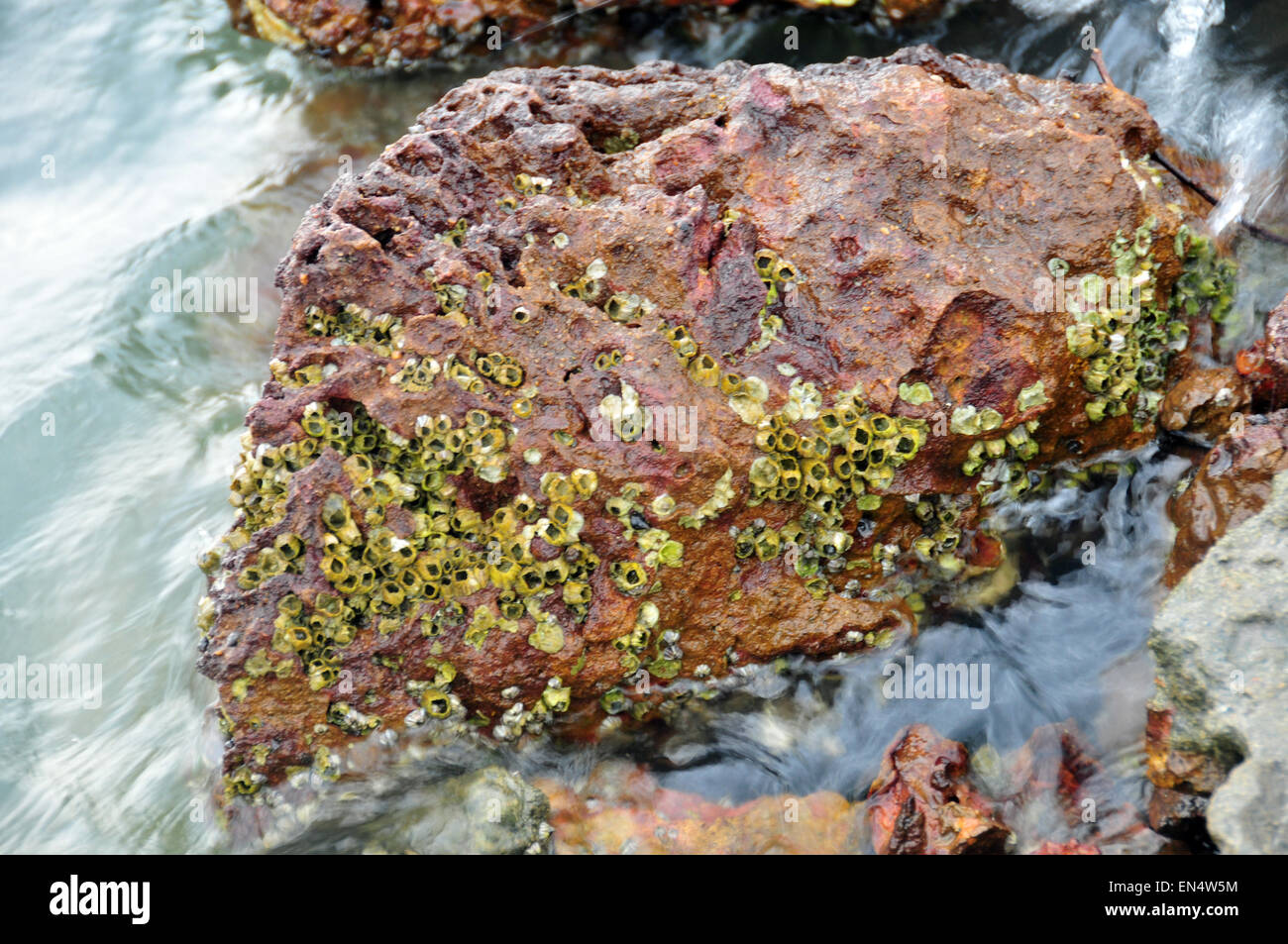 Changing red rock hi-res stock photography and images - Alamy