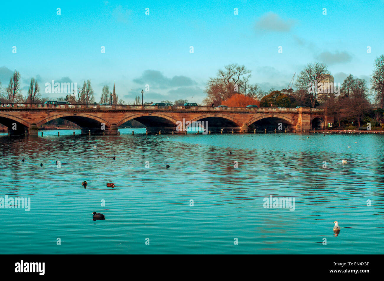 some ducks swim in the Serpentine River, with the Serpentine Bridge in ...