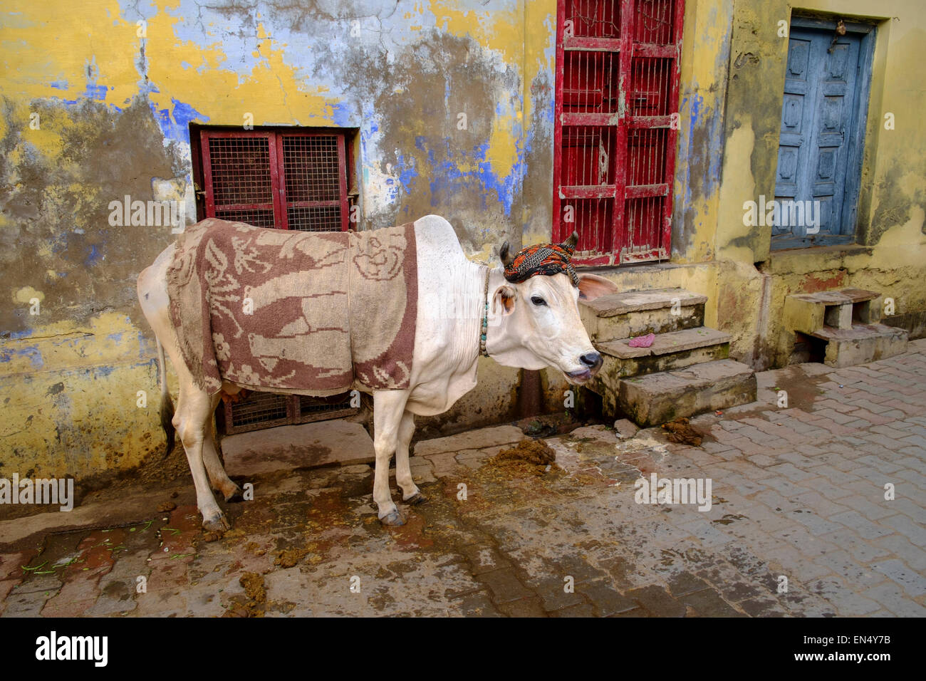 Vrindavan High Resolution Stock Photography and Images - Alamy