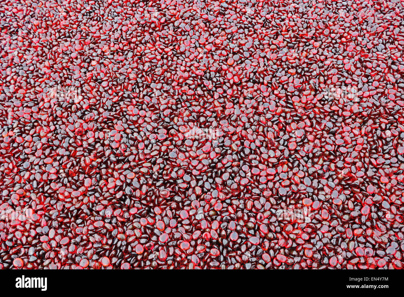 Red pebbles in Bordeaux. Photography by Qin Xie Stock Photo - Alamy