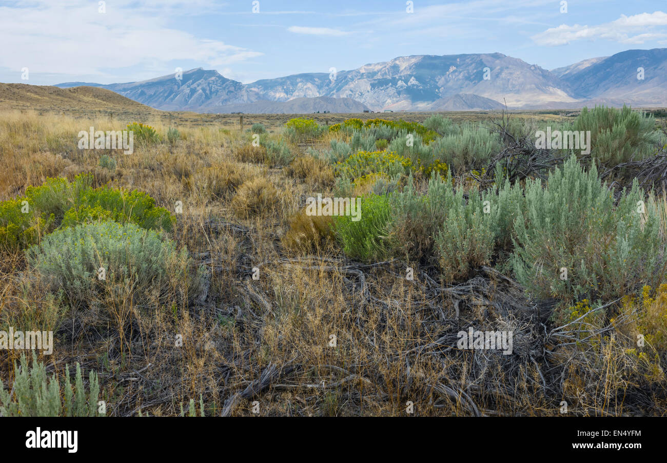 Sagebrush ranch hi-res stock photography and images - Alamy