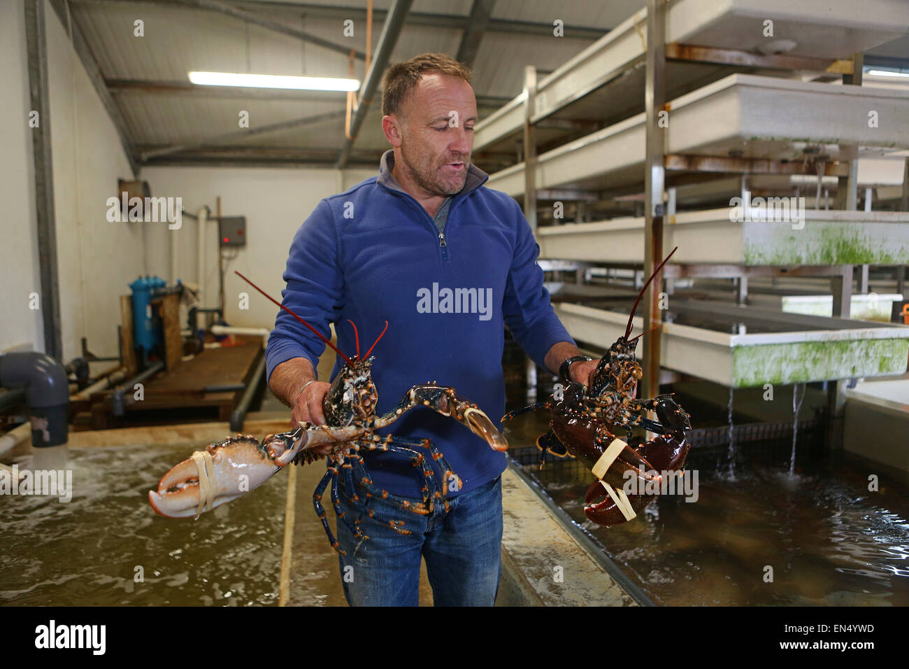 Mcmullan High Resolution Stock Photography and Images - Alamy