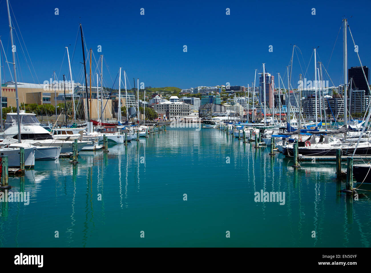 New zealand marinas hi-res stock photography and images - Alamy