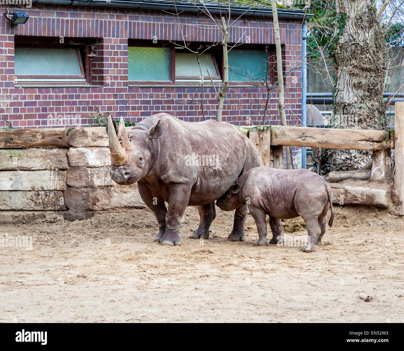 The oldest zoo in Germany, opened in 1844 Stock Photo - Alamy