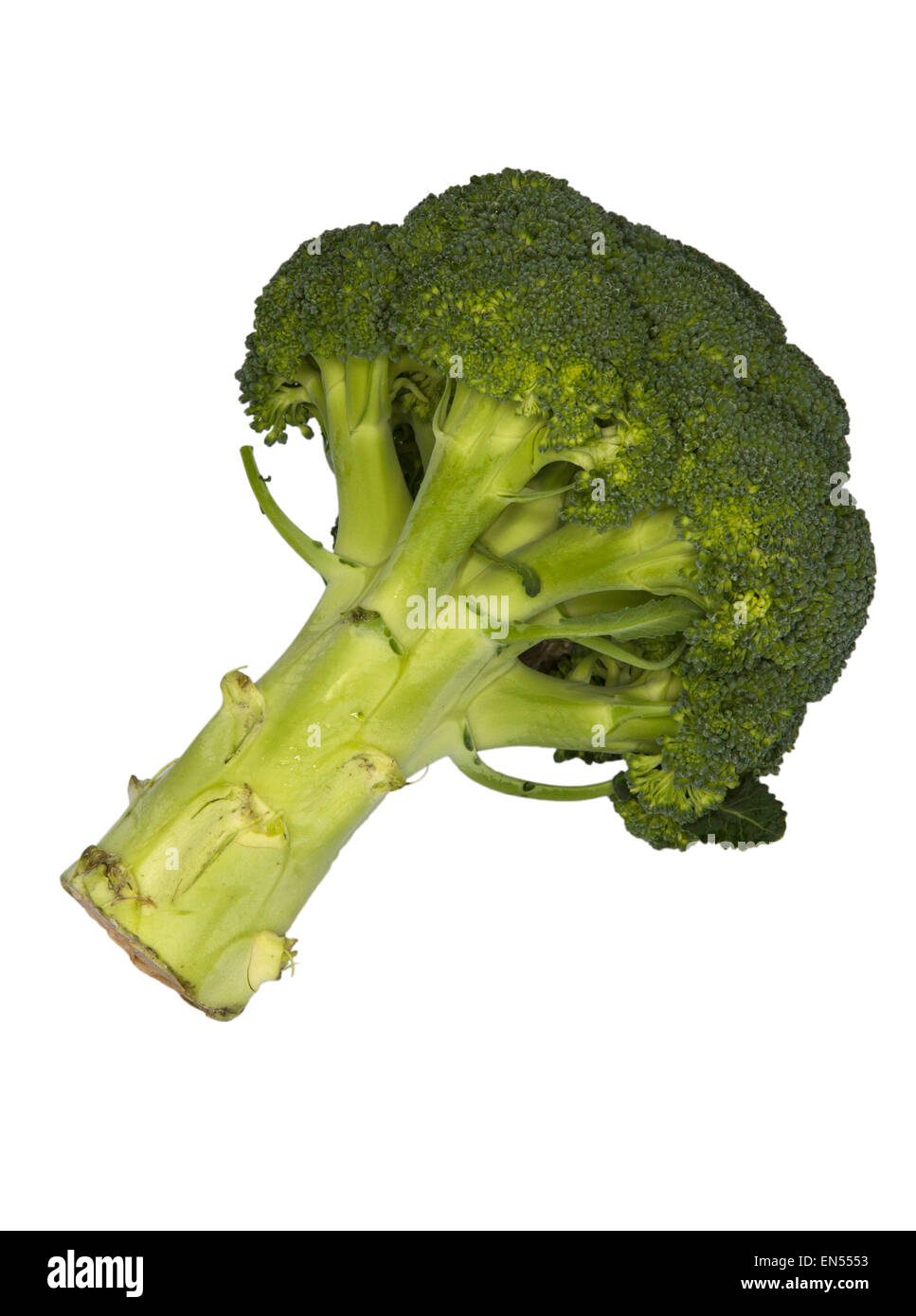 Crop production Cut Out Stock Images & Pictures - Alamy