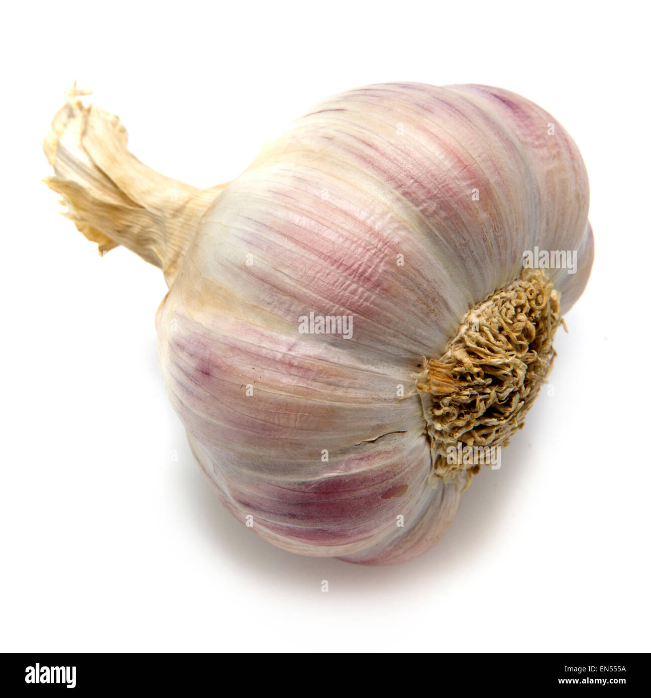 Garlic production hi-res stock photography and images - Alamy