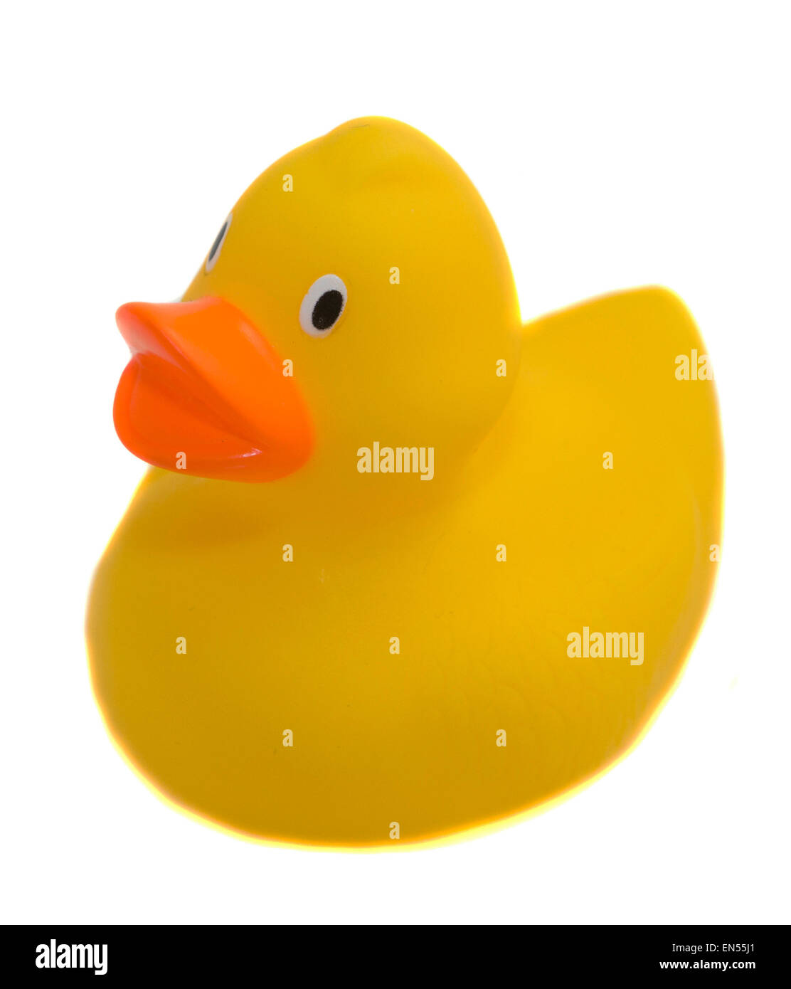Bathing duckling Cut Out Stock Images & Pictures - Alamy