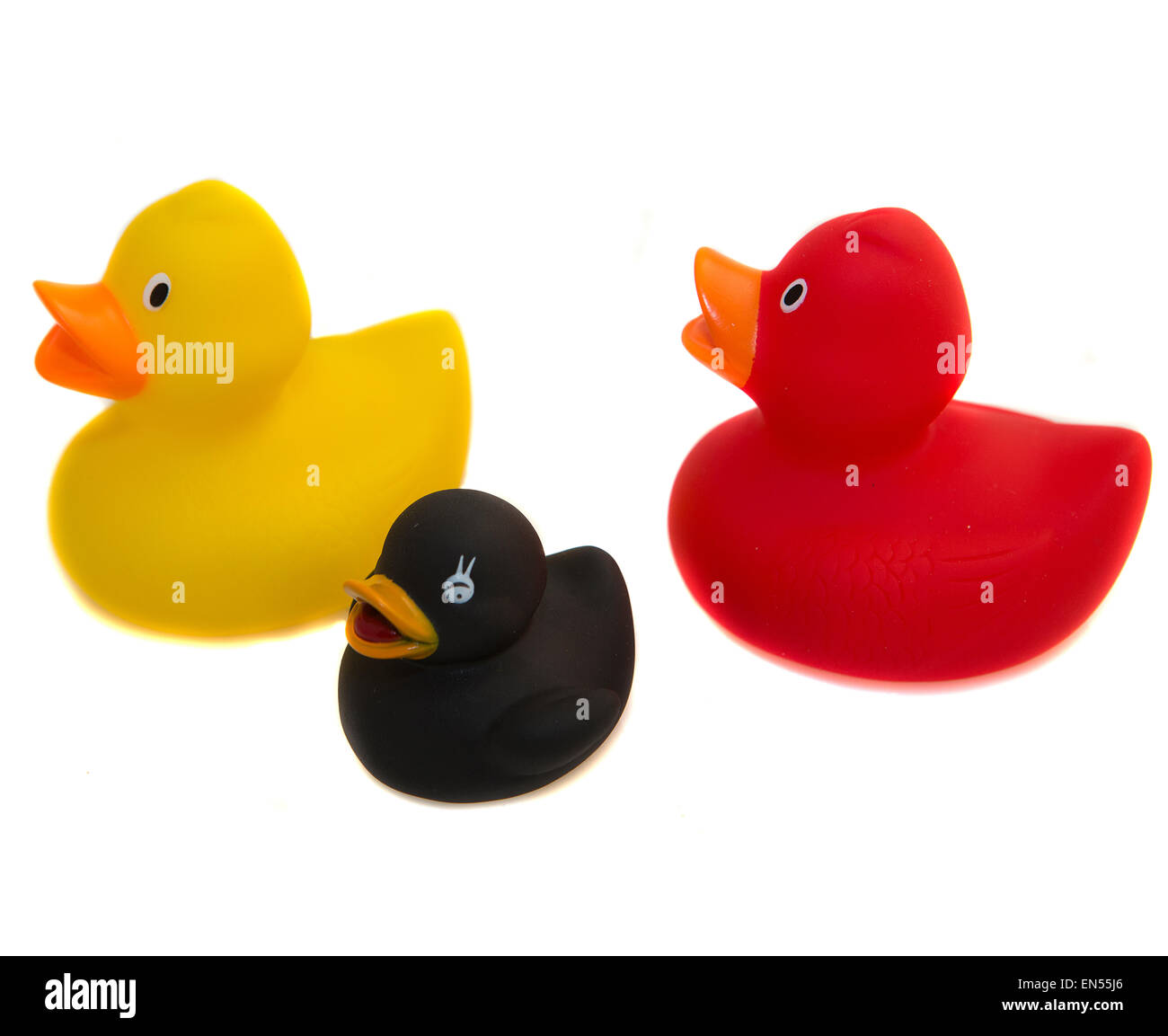 Duck ducks hi-res stock photography and images - Alamy