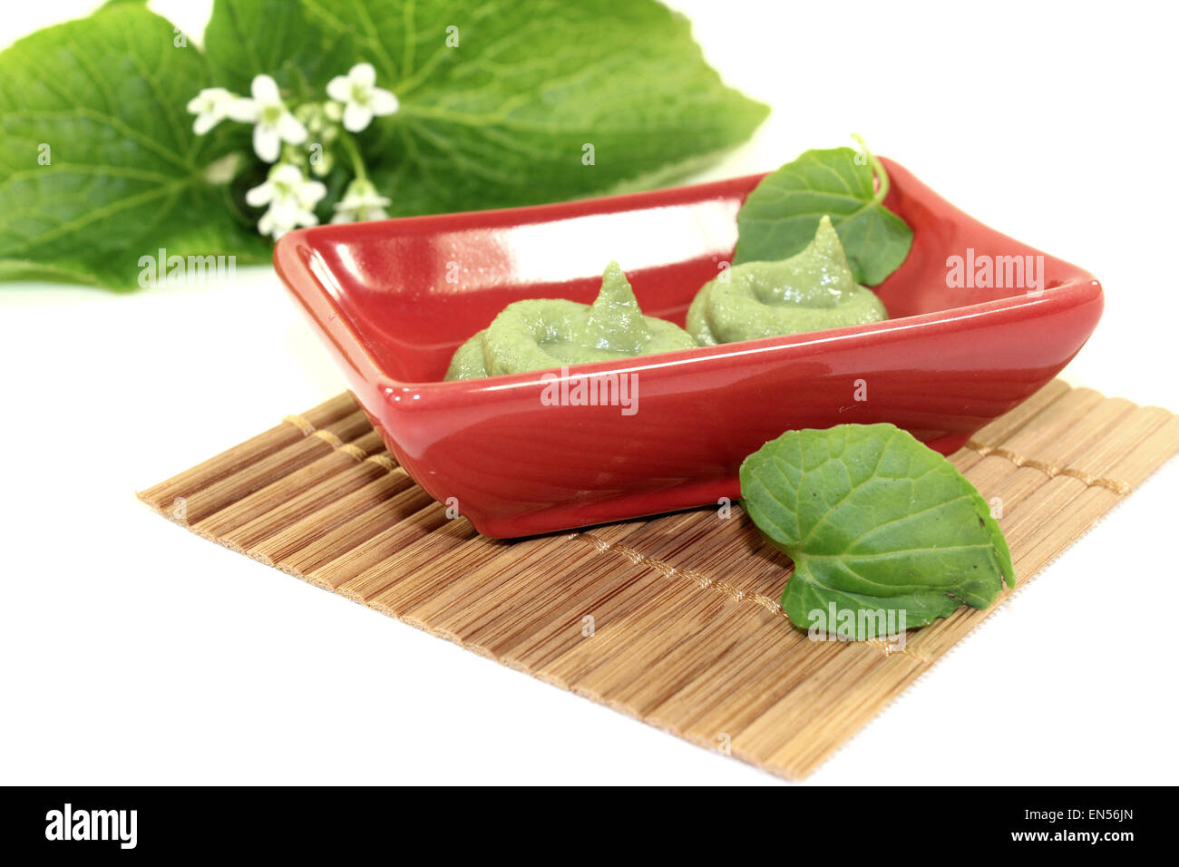 spicy Wasabi with leaf and flower in a red bowl Stock Photo - Alamy