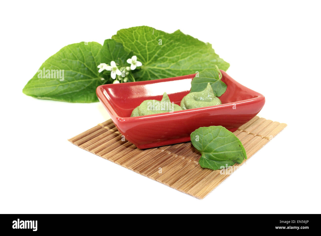 Wasabi with leaf and flower in a red bowl on light background Stock ...