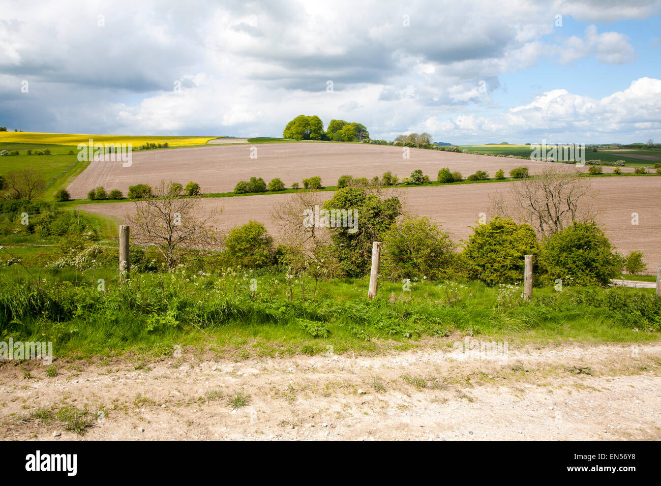 Unmade road track pathway hi-res stock photography and images - Alamy