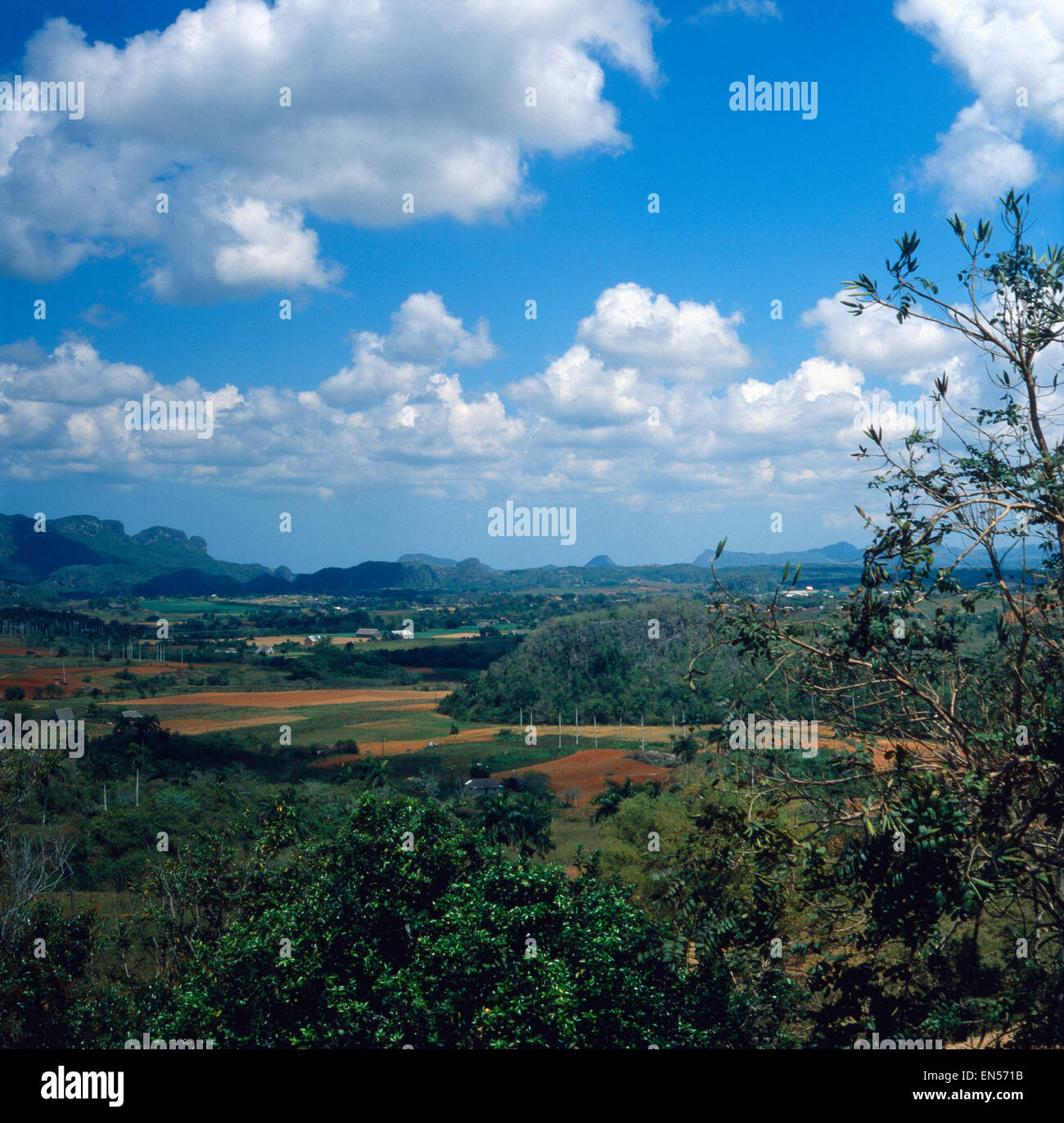 Die Landschaft des Viñales-Tal, Kuba 1980er Jahre. Landscape of Viñales ...