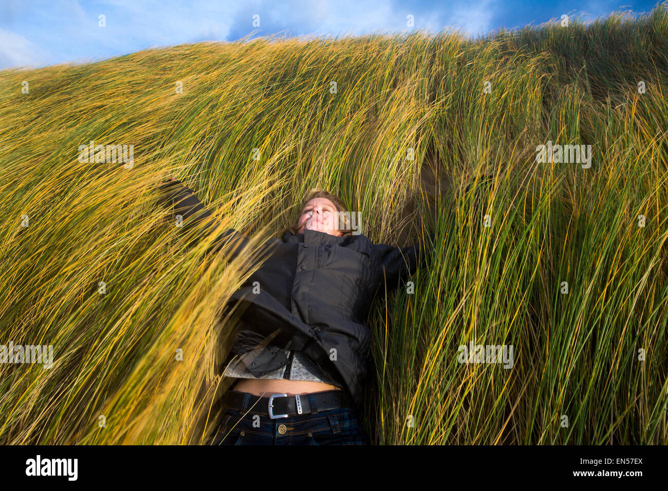 Dutch grass hi-res stock photography and images - Alamy