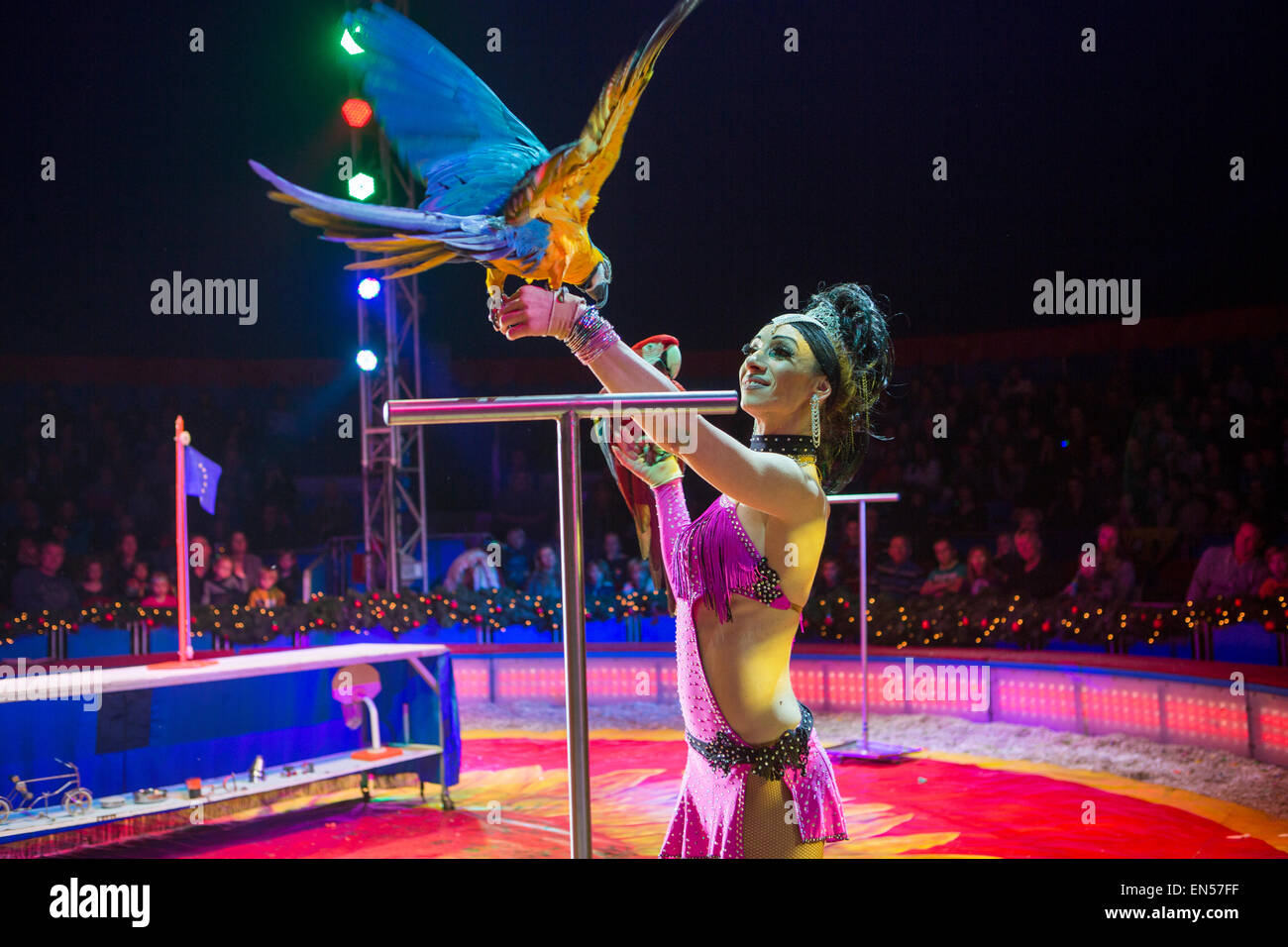 A new law does not allow wild animals to perform in dutch circus Renz ...