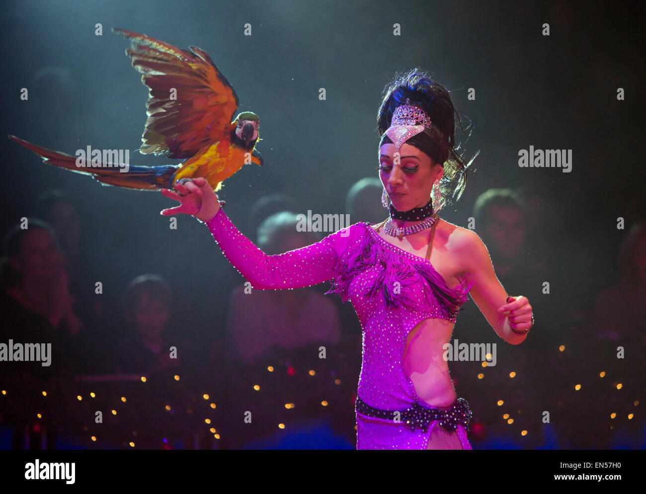 Circus parrot hi-res stock photography and images - Alamy