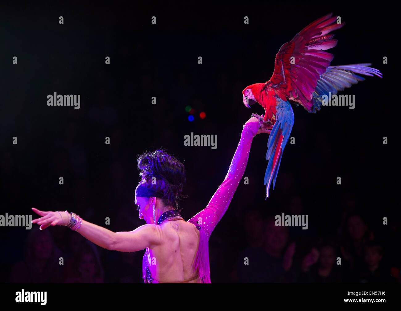 A new law does not allow wild animals to perform in dutch circus Renz ...