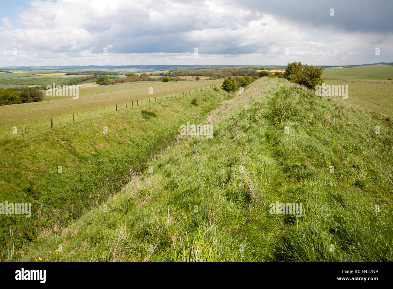 Ditch and embankment of the Wansdyke a Saxon defensive structure on All ...