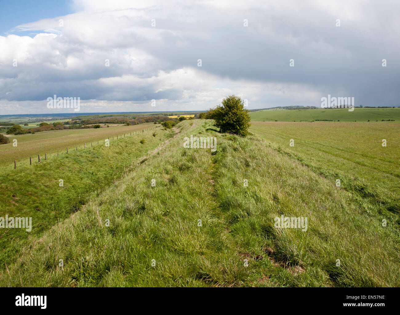 Ditch and embankment of the Wansdyke a Saxon defensive structure on All ...