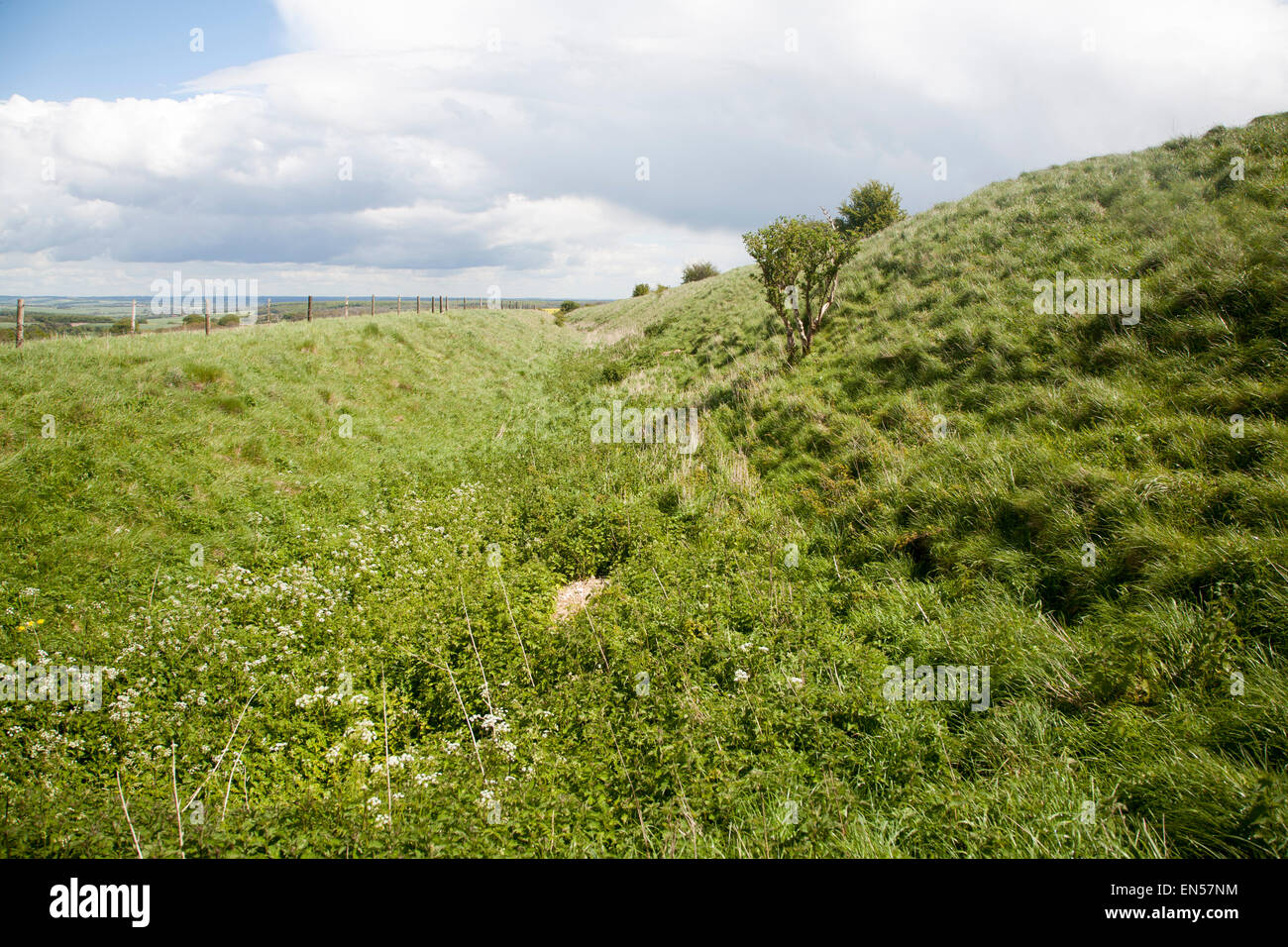 Ditch and embankment of the Wansdyke a Saxon defensive structure on All ...