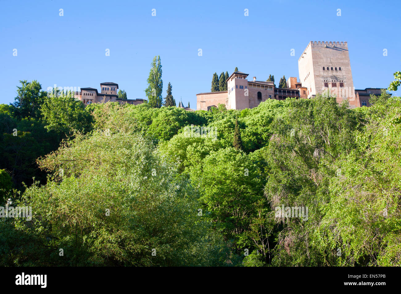 View of the Alhambra over trees and green leaves Granada, Spain Stock ...