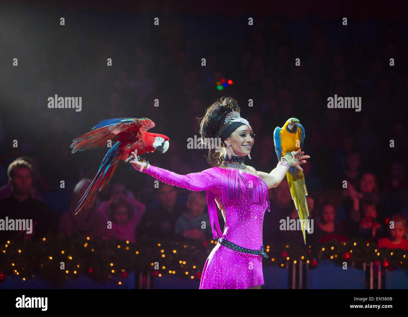Circus parrot hi-res stock photography and images - Alamy