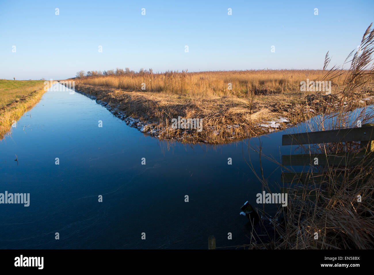 reclaimed land in the Netherlands Stock Photo - Alamy