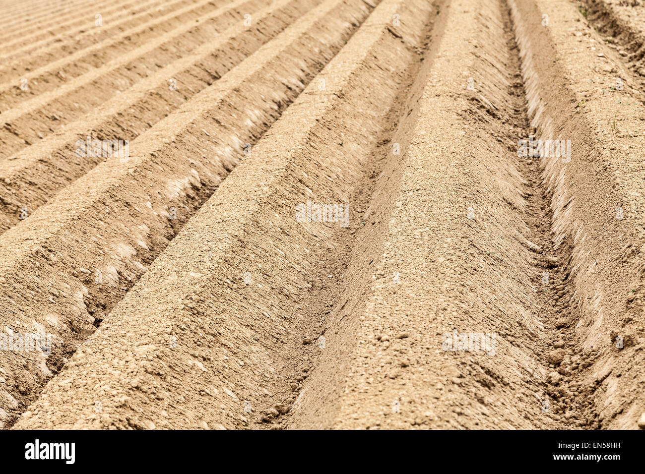Detail image of a ploughed field with furrows Stock Photo - Alamy