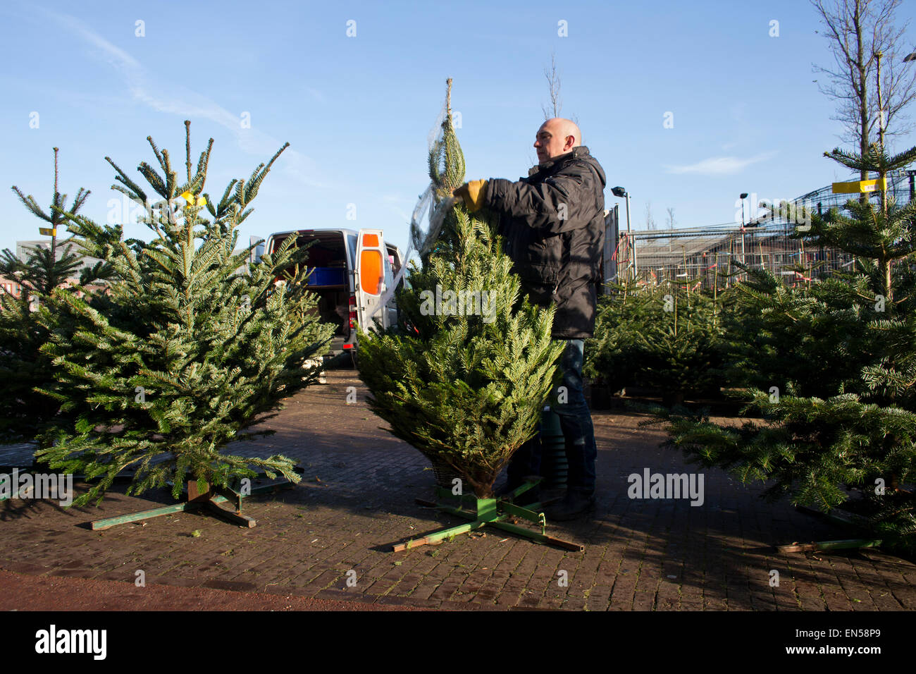 Selling christmas trees in hi-res stock photography and images - Alamy