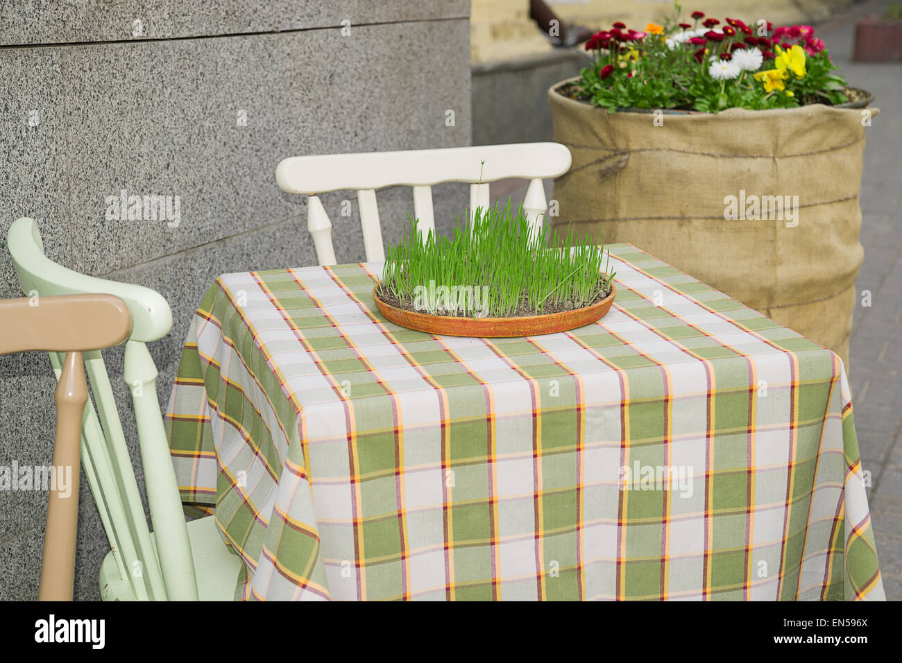 Plants growing ceramic plates located on a restaurant table Stock Photo ...